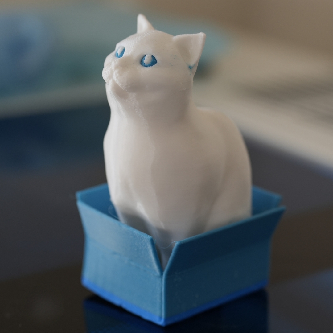 Schrödinger’s Cat - 3D‑Printed - Cat in a Box Figurine - 3D Etplus