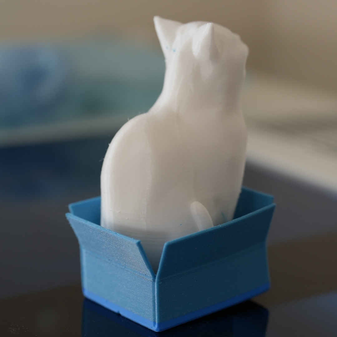 Schrödinger’s Cat - 3D‑Printed - Cat in a Box Figurine - 3D Etplus